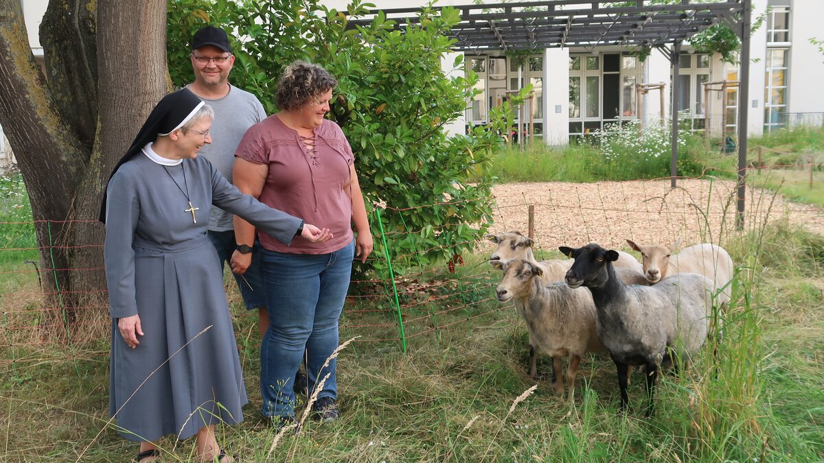 Ein Interview mit Sr. Monika Edinger (Generaloberin der Kongregation der Schwestern des Erlösers ...